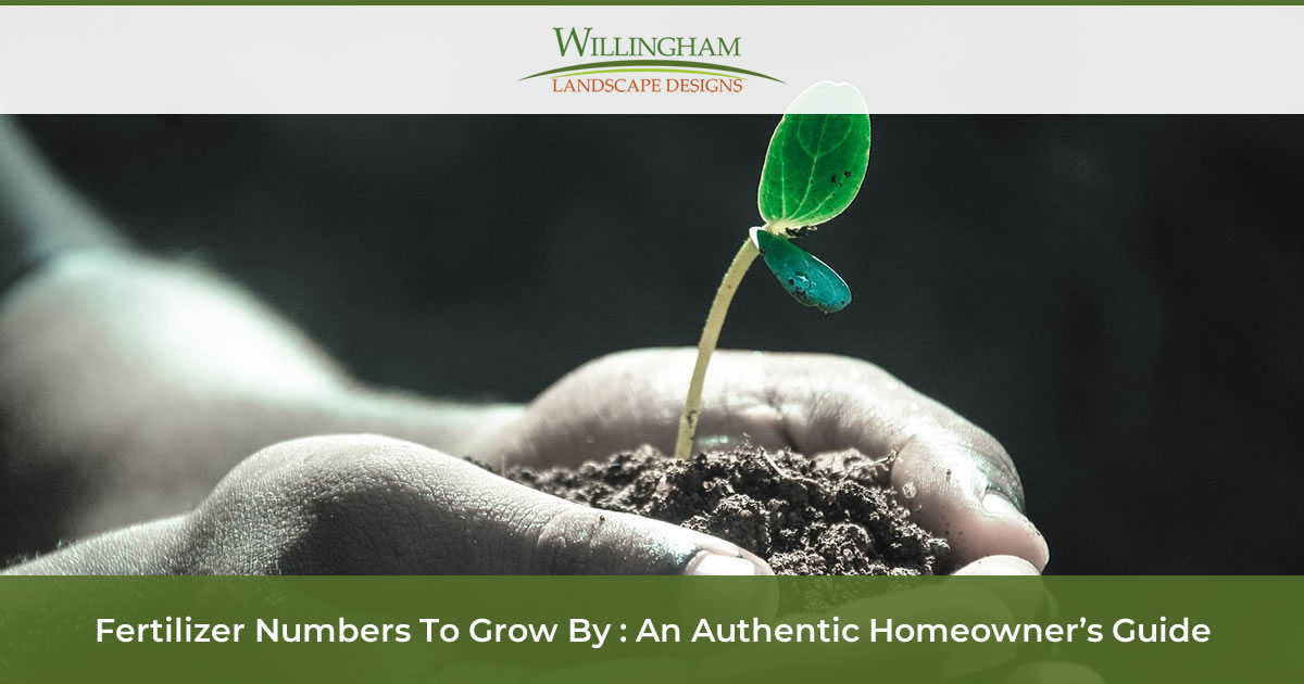 Fertilizer Numbers To Grow By: An Authentic Homeowner’s Guide