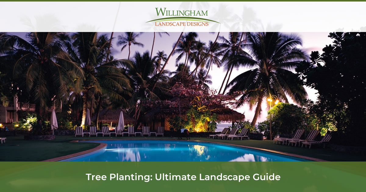 Tree Planting : Ultimate Landscape Guide